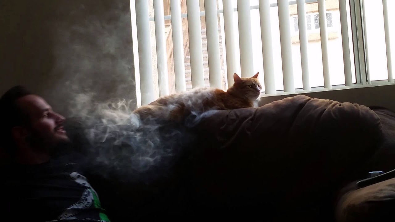 Garfield is smoking - YouTube