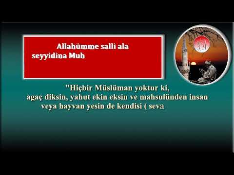 Hiçbir müslüman yoktur ki