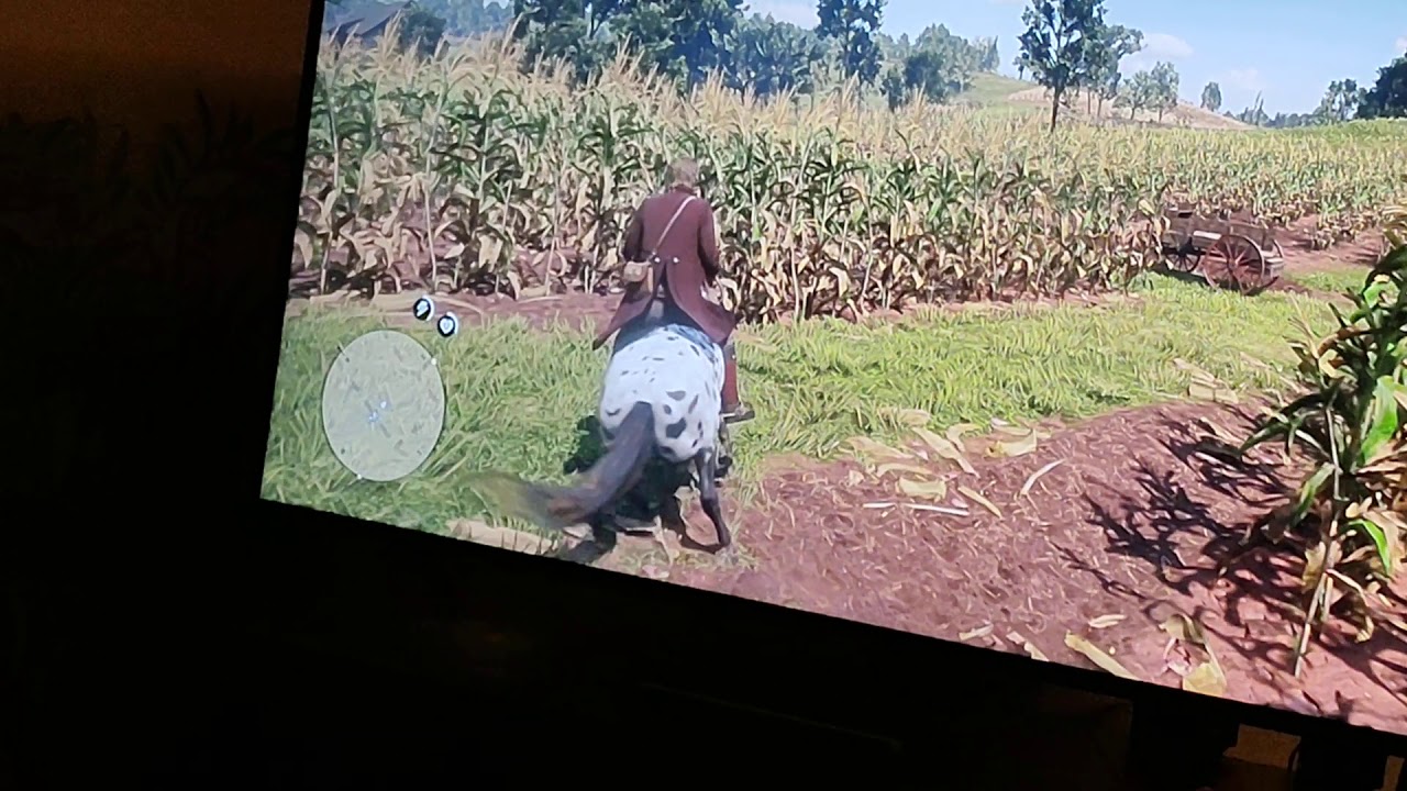 RDR2 Riding Taima Glitch - YouTube