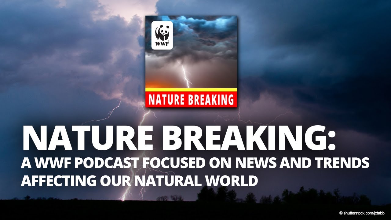 Introducing WWF's Podcast: Nature Breaking (TRAILER) - YouTube