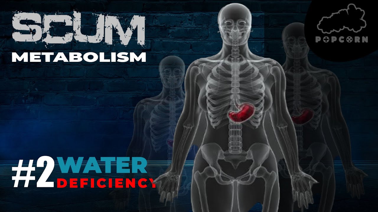 SCUM Water Deficiency Metabolism Breakdown Series (SCUM Game) #SCUM ...