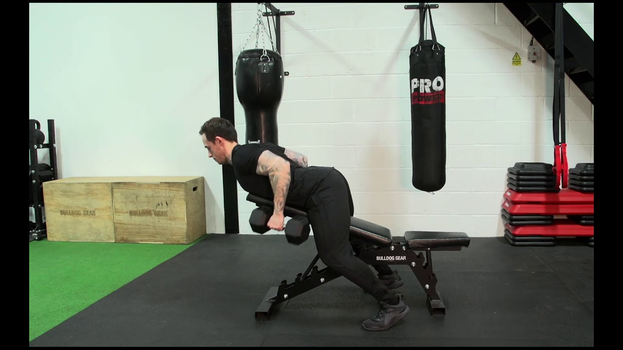 Prone 2 arm dumbbell rows - YouTube