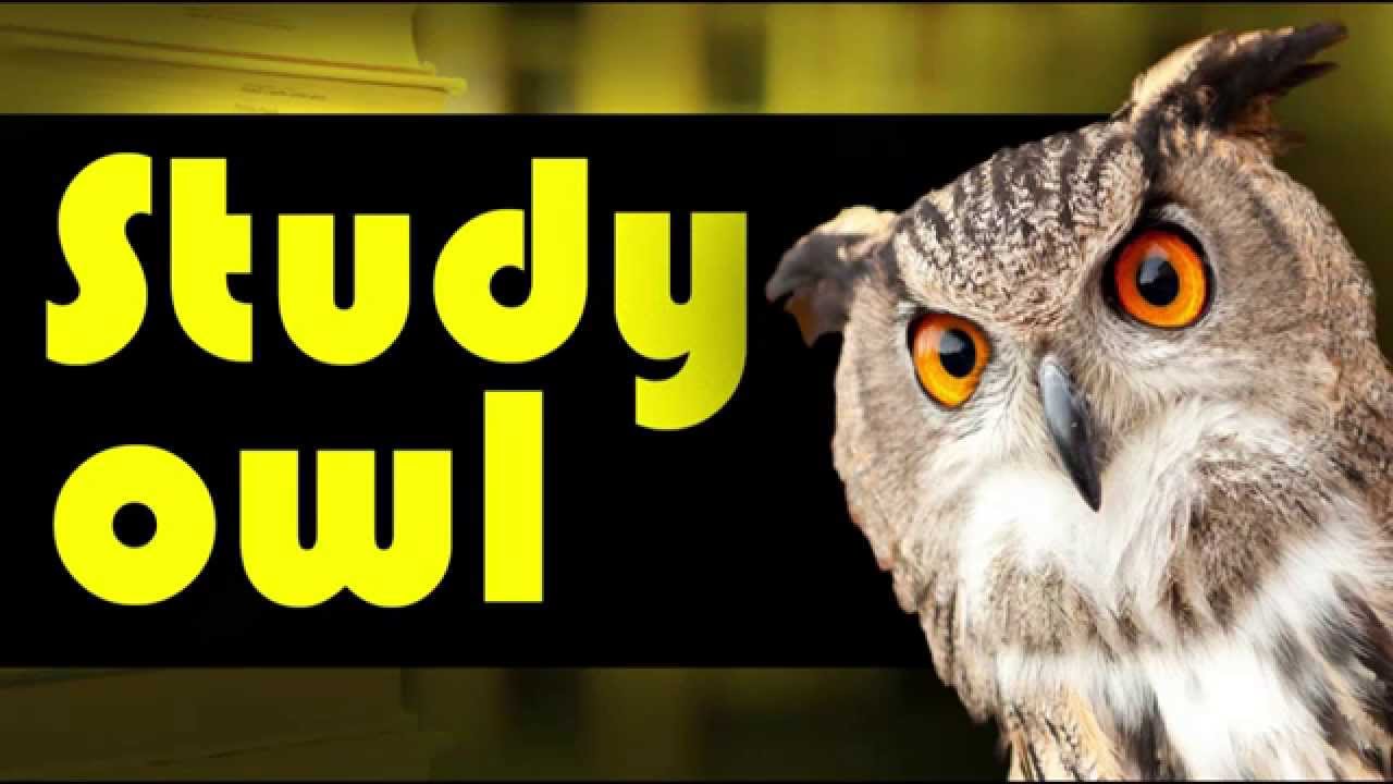 STUDY MUSIC: Background Music with Rain Sounds and Thunder for Studying ...