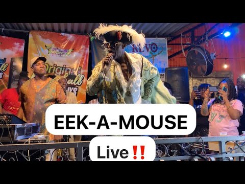 Eek-A-Mouse came out with a Bang‼️Displaying Versatility & Style # ...