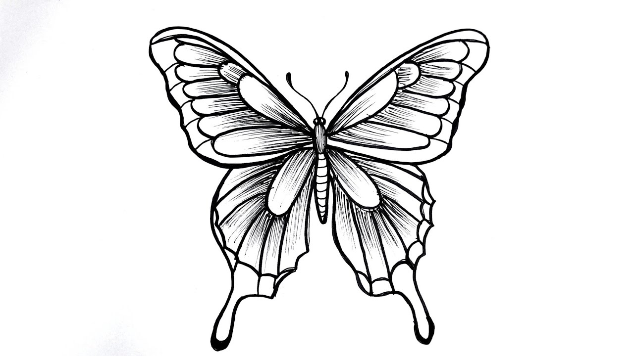 How to draw a butterfly easy step-by-step || Butterfly drawing tutorial ...