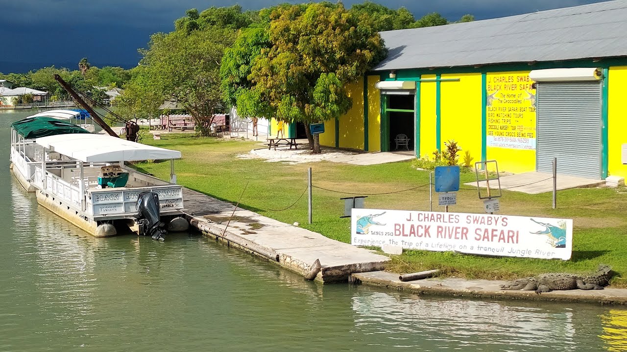 BLACK RIVER ST ELIZABETH JAMAICA #SAFARI - YouTube