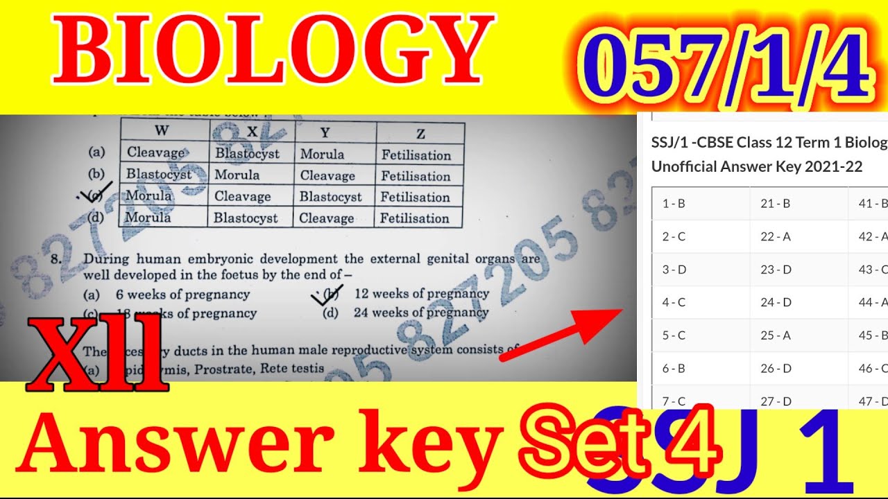 Biology class 12 Answer key 2021 SSJ/1 SET4 057/1/4 | Biology Class 12 ...