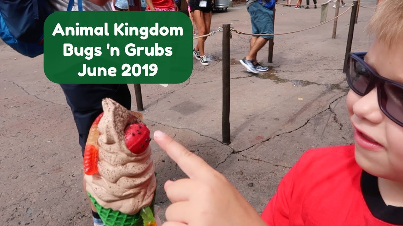 Animal Kingdom | Bugs n Grubs Ice Cream | Everest & Dinosaur | Walt ...