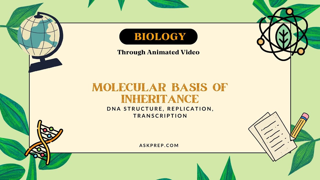 Molecular Basis of Inheritance | DNA Structure, Replication ...