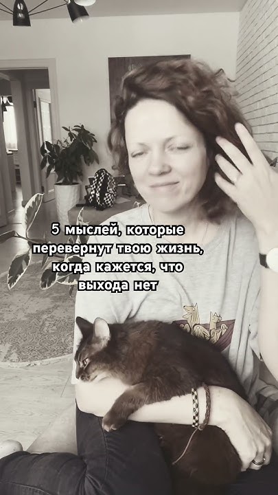 Читай описание ⬇️ Youtube
