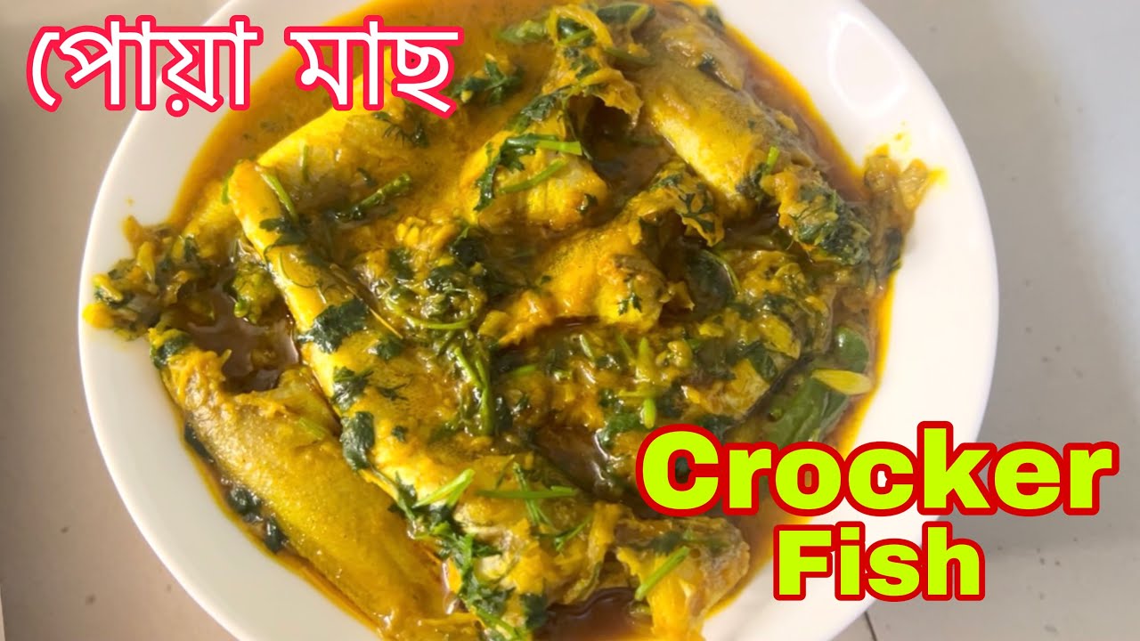 পোয়া মাছ রান্নার রেসিপি/ crocker fish recipe/how to cook Crocker fish ...