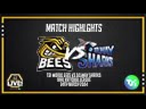 TSI World Bees vs Solway Sharks 24.03.2024 - YouTube