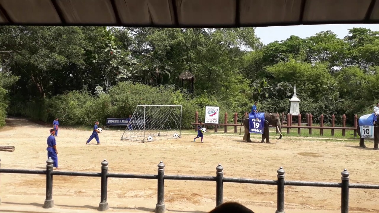 Amazing football - YouTube