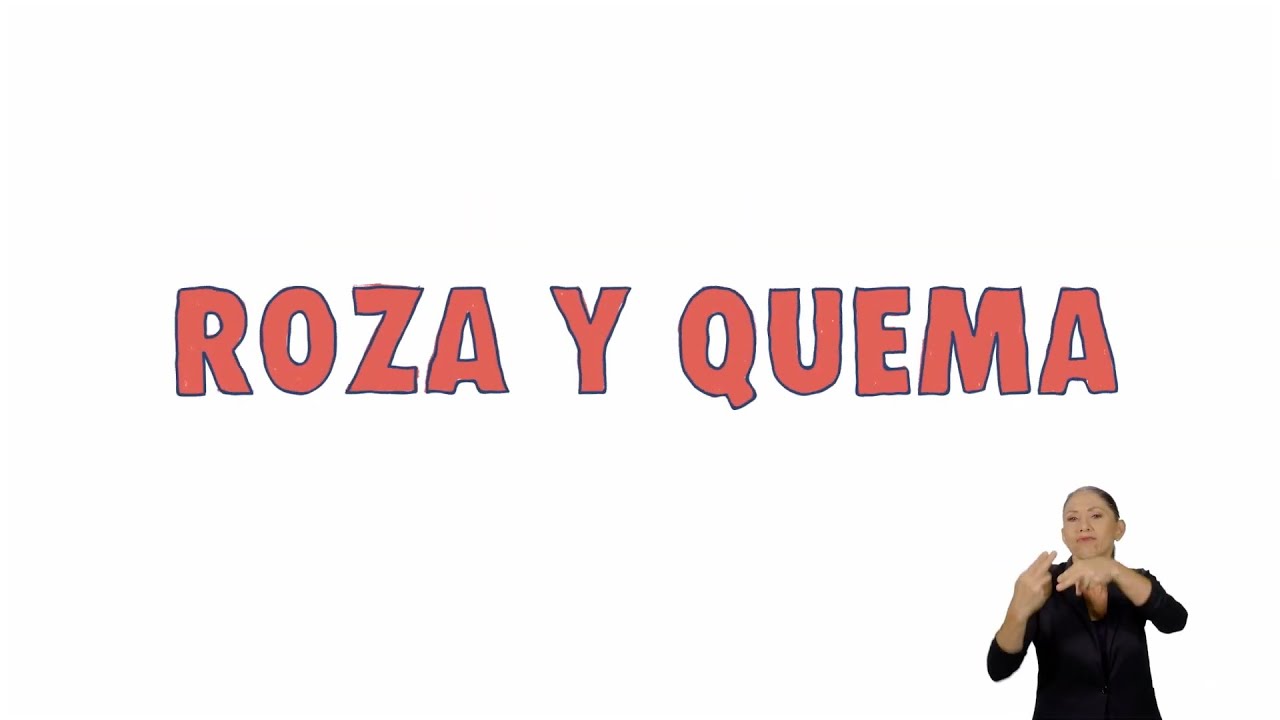 Sistema agrícola indígena de Roza y Quema - Historia de Costa Rica ...