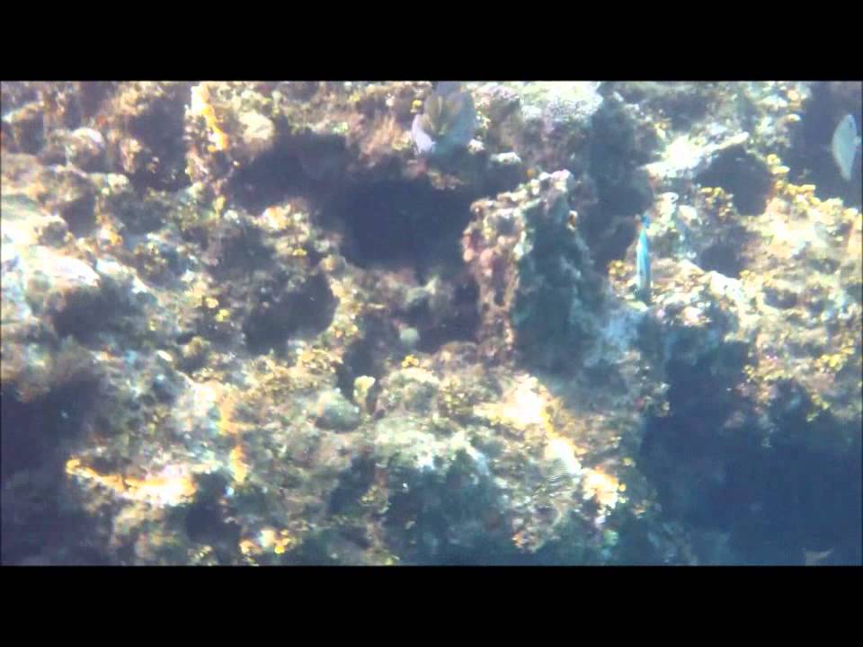 Troop 175's Bahamas Sea Base adventure (Part 2) - YouTube