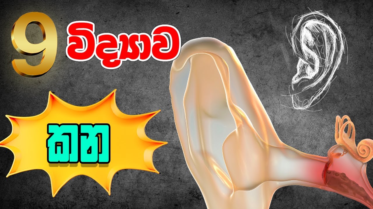 Grade 9 Science 👁️ඇස හා කන👂 2 පාඩම Human Eye And Ear Minis Asa Ha