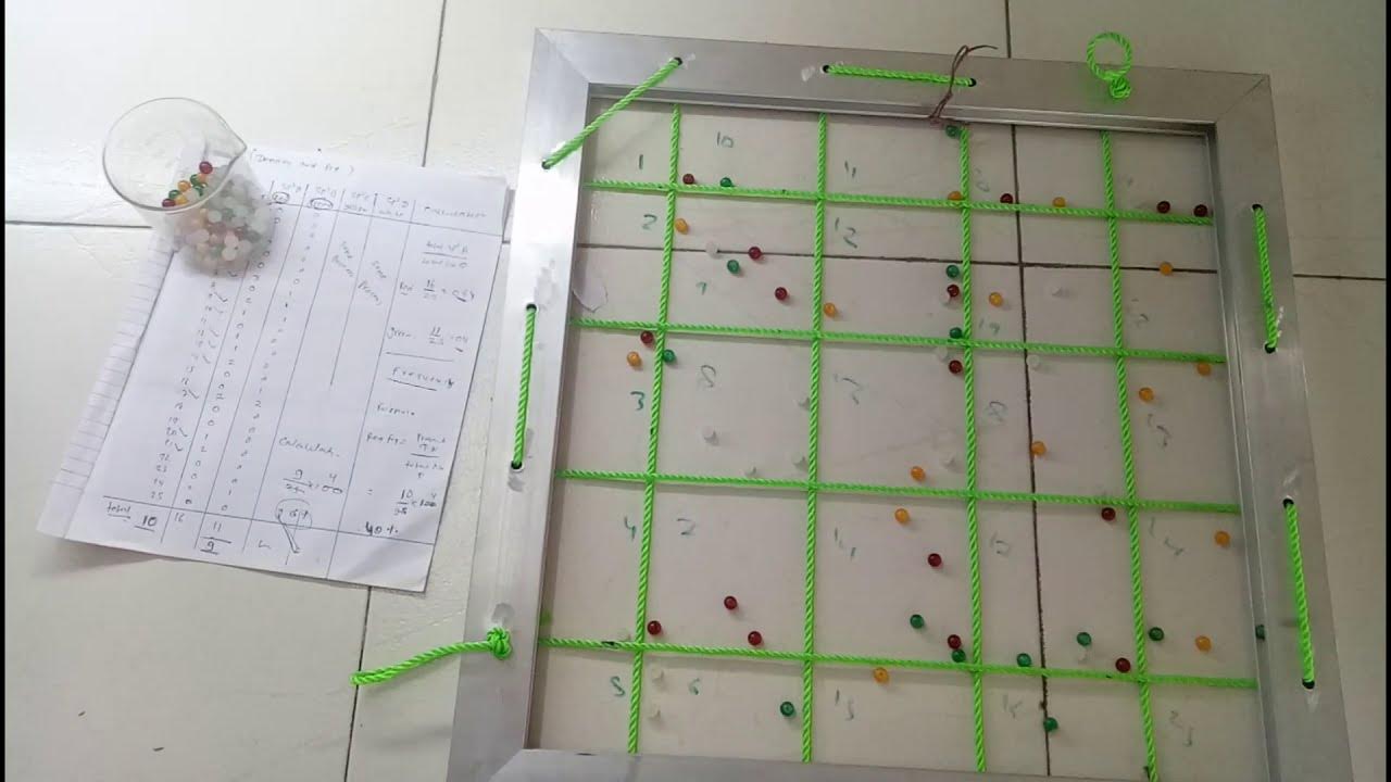 plant population density and frequency by quadrat method | 12th biology ...