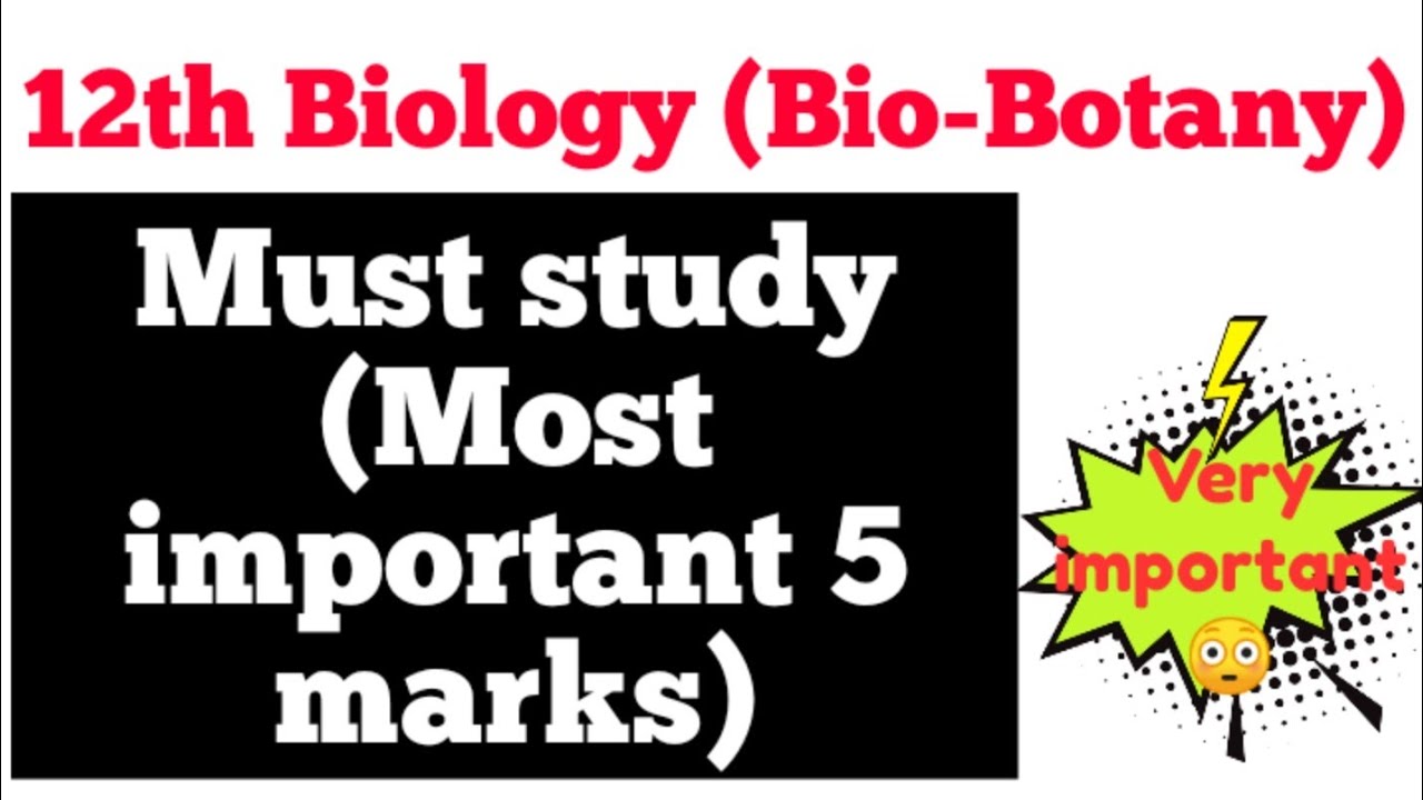 12th Bio Botany Important 5 Marks YouTube 12th-bio-botany-important-5-marks-youtube