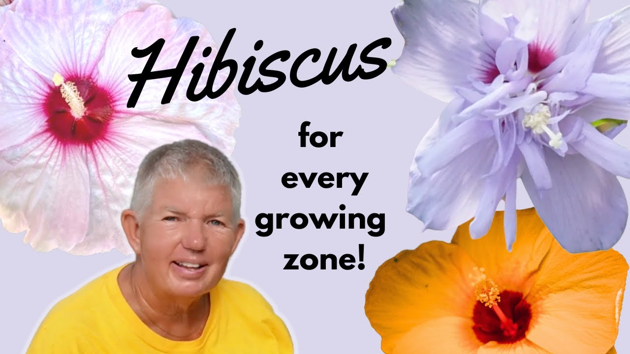 Flower Growing Zones