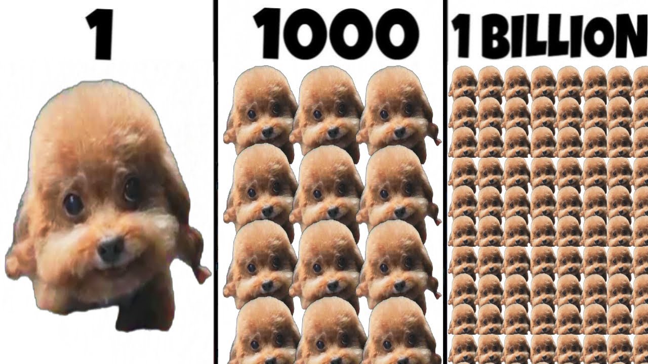 Chinese Dog Rapping Meme (Over One Billion Times) - YouTube