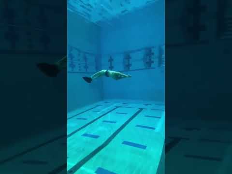 Merman Fin - YouTube