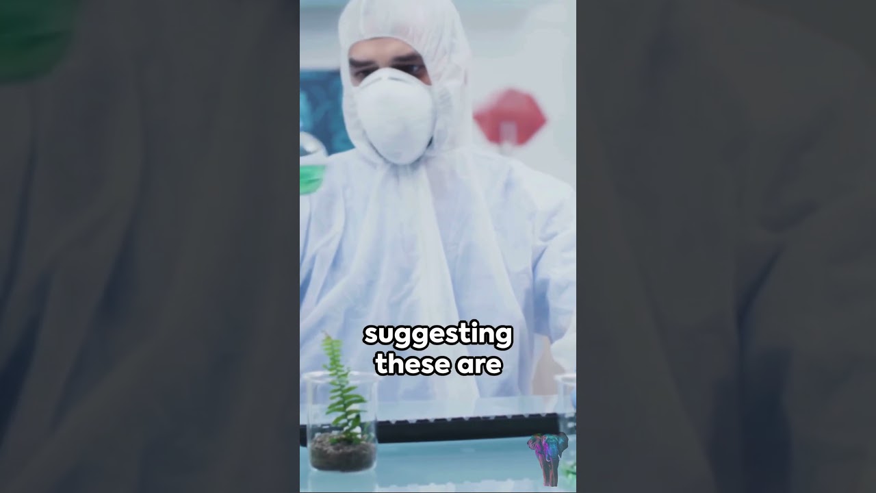 Mystery Alien Stone FOUND!!! (Dropa Stones) - Go IT