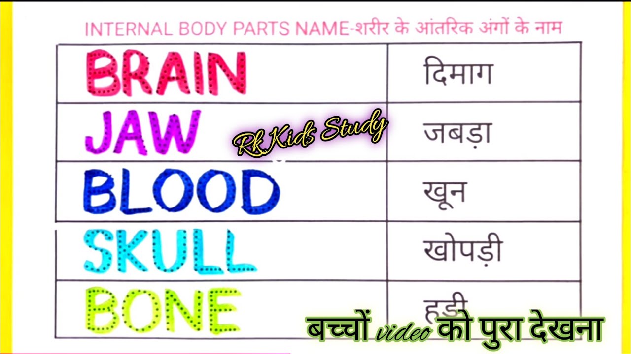 Internal body parts name in english || शरीर के आंतरिक अंगों के नाम ...