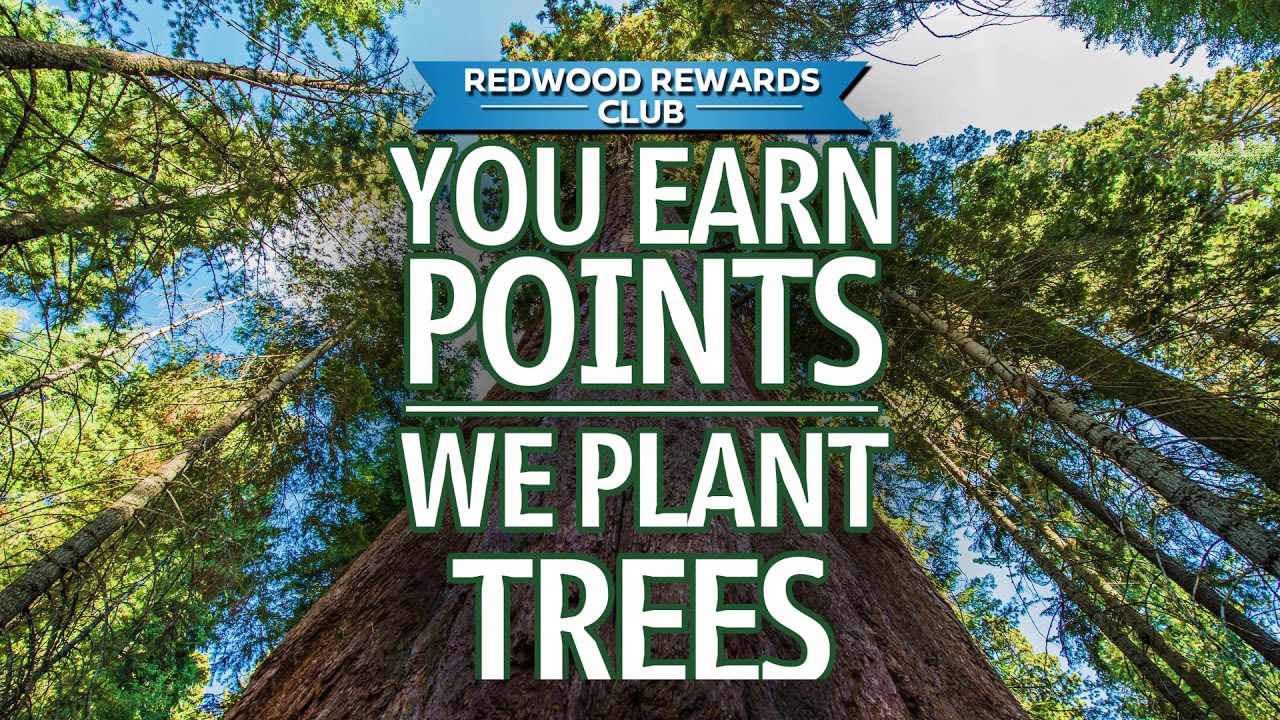 Green Gaming - You Earn Points, We Plant Trees - YouTube