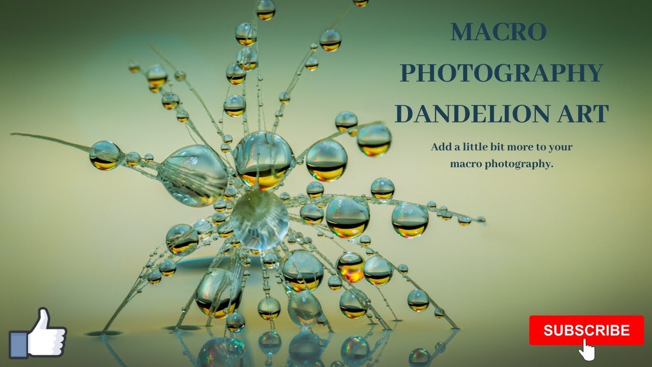 Macro Photography Art