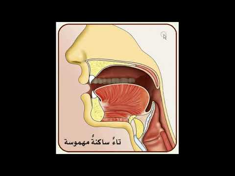 Sakin Te Harfi - Eymen Suveyd Hoca - تاء ساكنة مهموسة