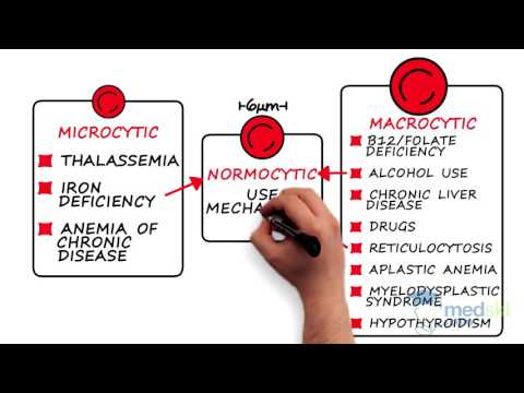 Hematology – Anemia: By Karima Khamisa M.D.