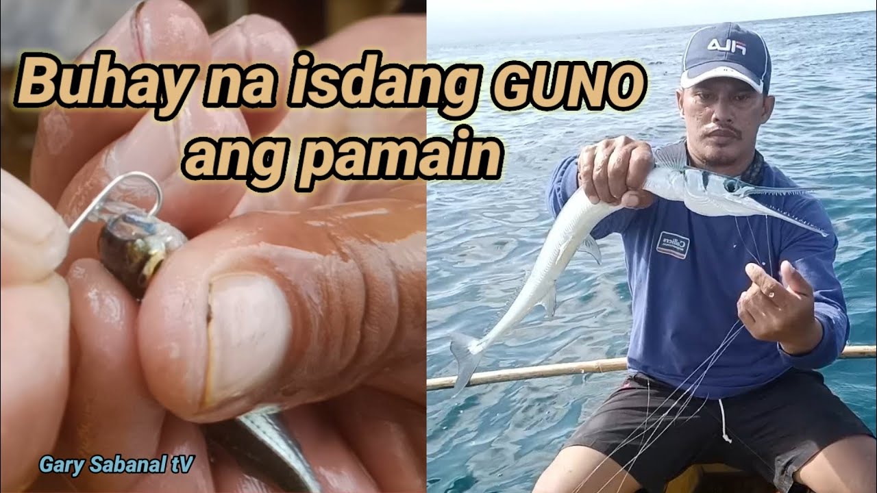 Handline fishing using live bait/buhay na isdang GUNO ang pamain # ...