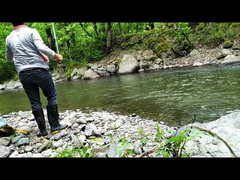 Dağ Çayında Usac Ovu