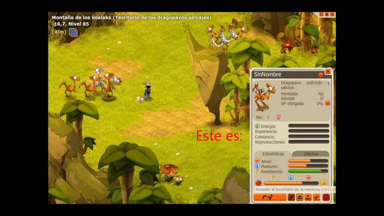 Como conseguir dragopavo salvaje DOFUS - YouTube