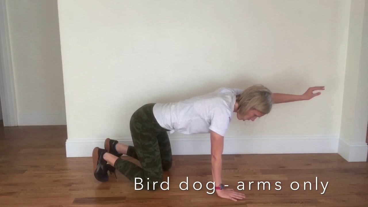 Bird dog - arms only - YouTube