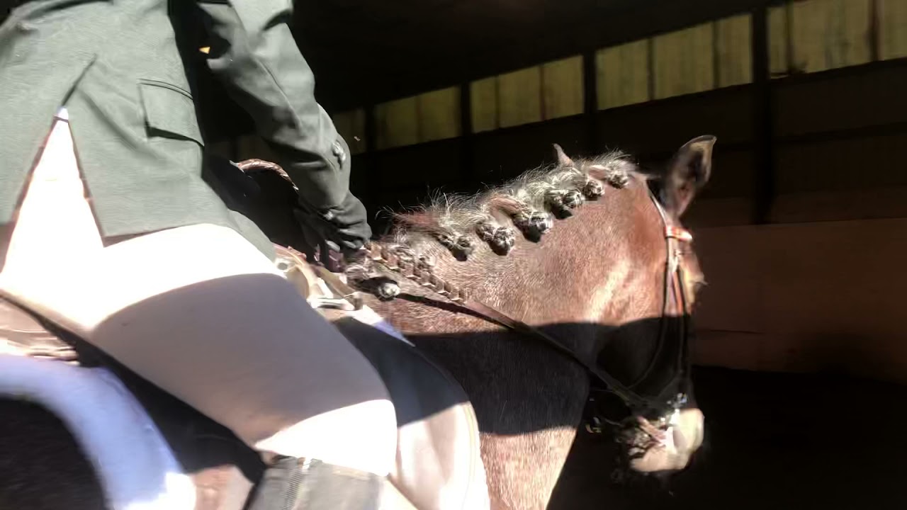 Rene B riding Silver Lining, Cadora WTA Sept 2021 - YouTube