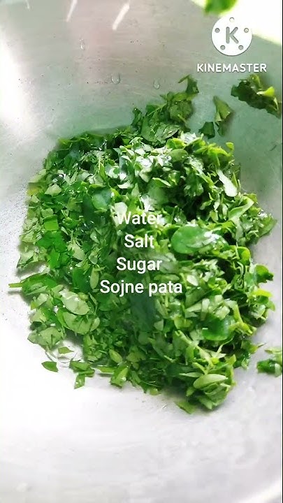 SOJNE PATA (Drumstick Leaves) FRY - YouTube