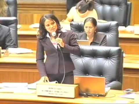 Representative Kymberly Pine Addresses the Keiki Care Bill - YouTube