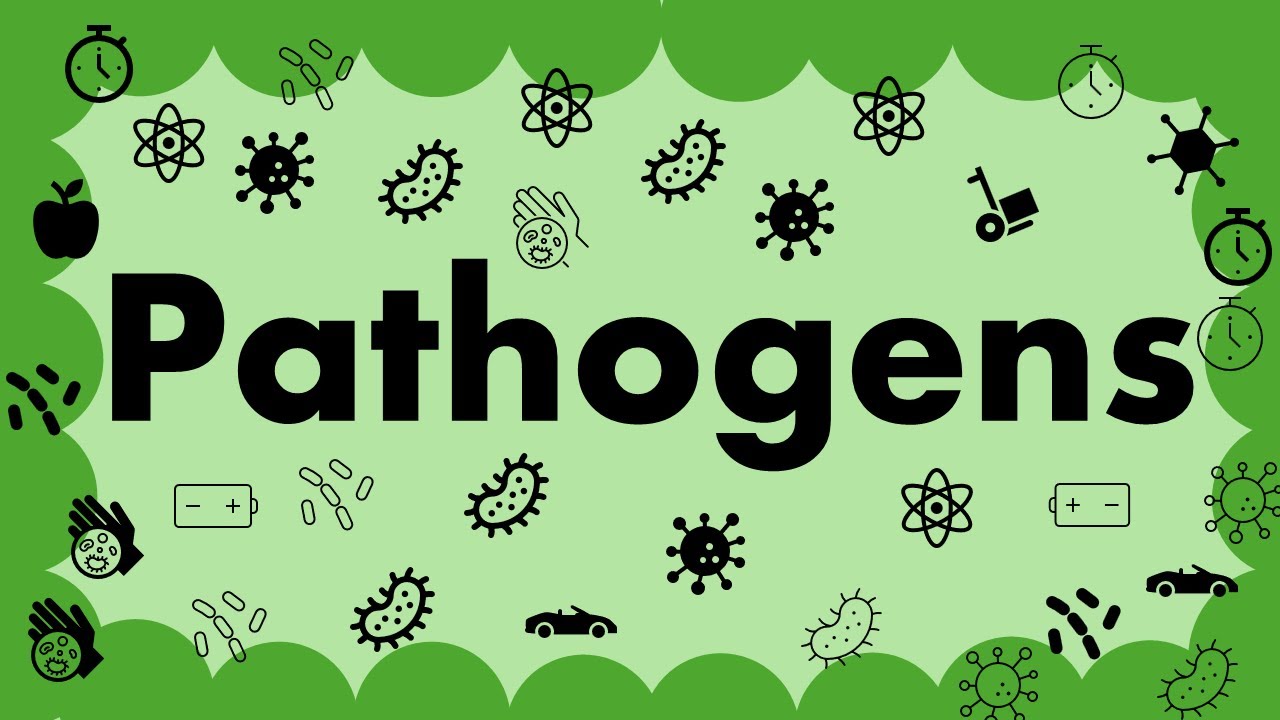 GCSE Biology - Pathogens and Communicable diseases - YouTube