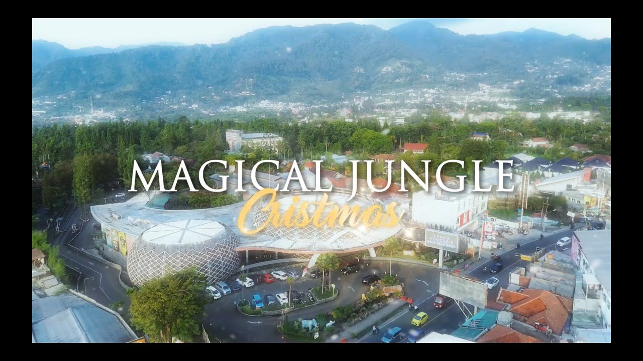 Magical Jungle Christmas Package At Royal Safari Garden - YouTube