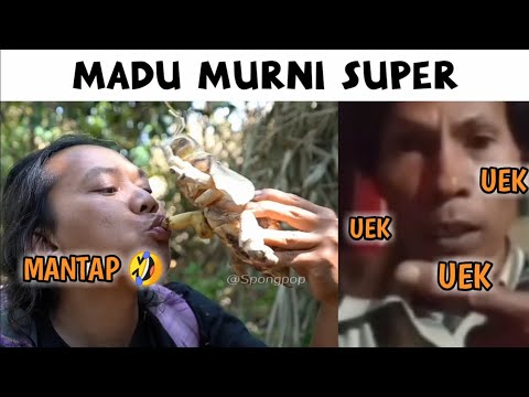 MADU MURNI VS MADU MURNI SUPER.. 🤮 UEK UEK MANTAP 👍👍😂