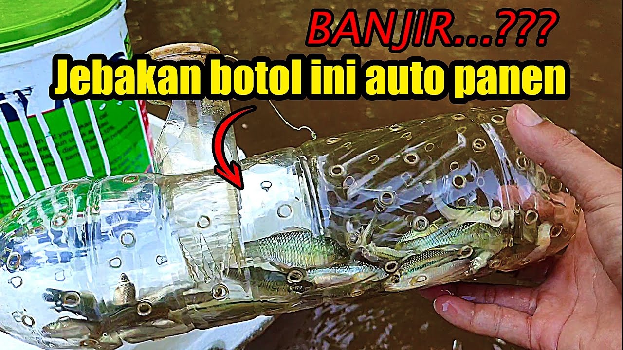 percobaan pertama jebakan ikan dari botol bekas (seruak) - YouTube