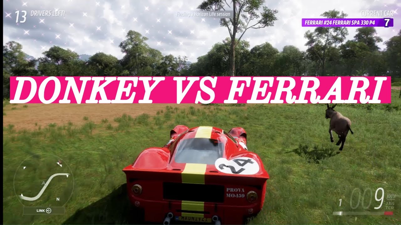 Forza horizon | Donkey Vs Ferrari | Eliminator - YouTube