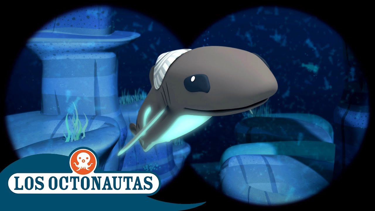 Los Octonautas Oficial En Español - El tiburón linterna enano y el pez ...