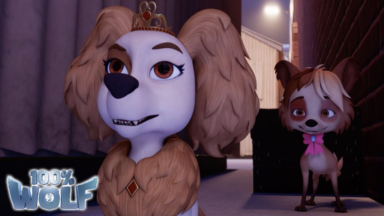 Battys Mama ist in Sicherheit! ️ | Beste Momente | 100% Wolf🐺🐩 ...