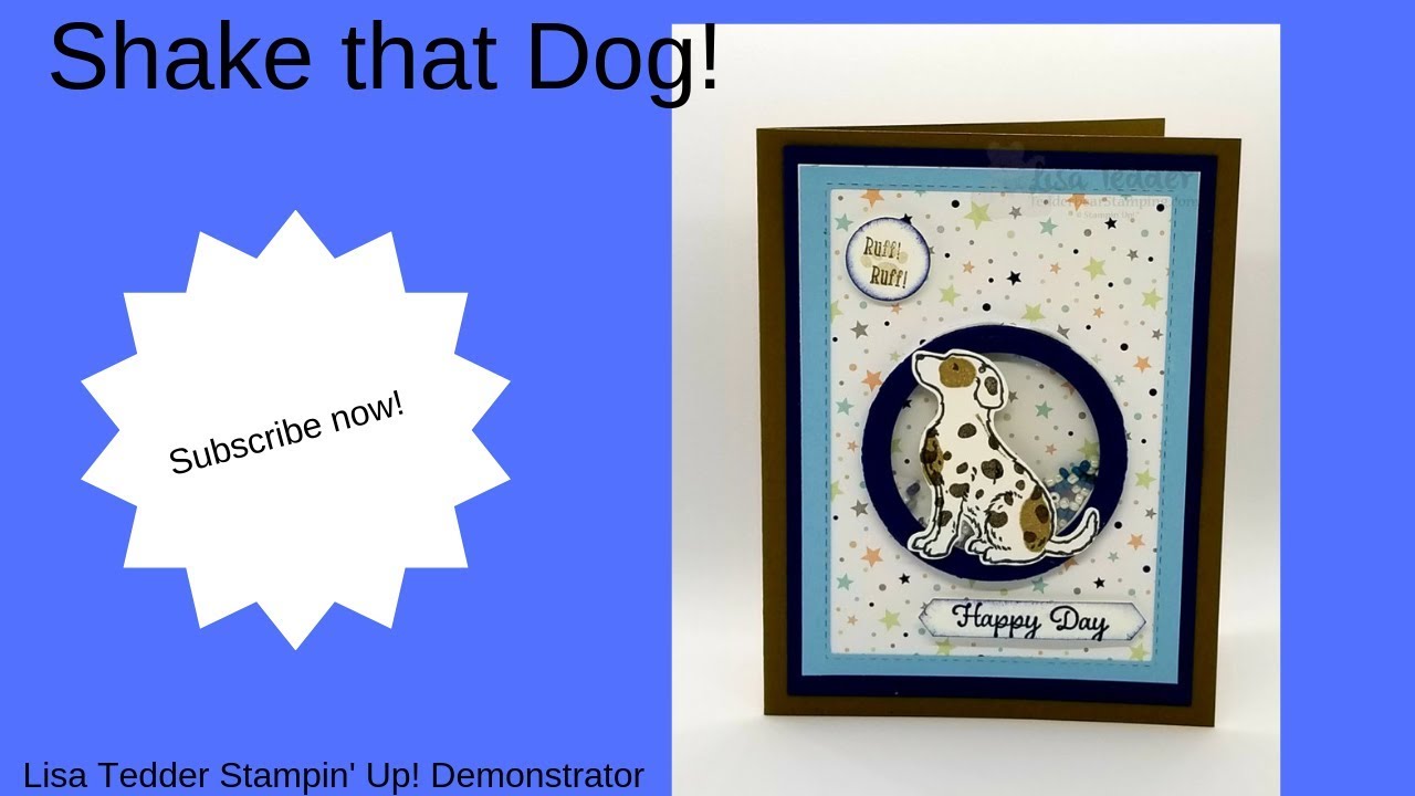 Shaker Dog 2 - YouTube