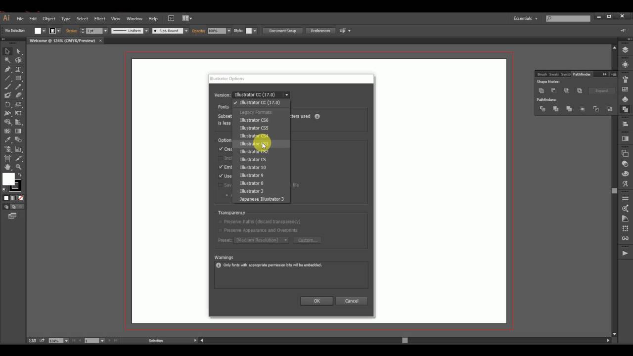 Adobe Illustrator CC ( Open new document /Save / Export your artwork ...