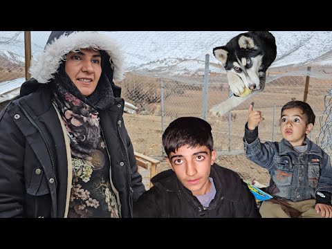 Could You Survive a Day in the Mountains With This Brave Family?