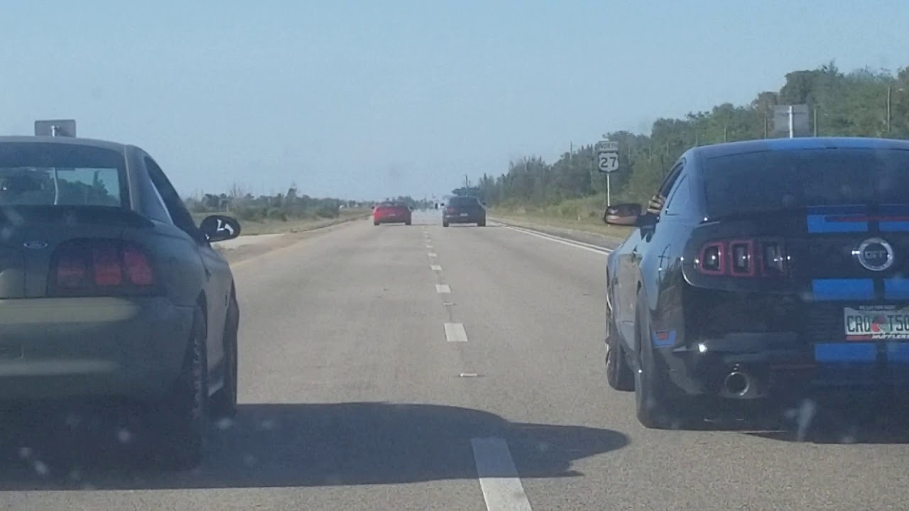 Turbo SN95 DOHC 4.6 vs FBO S197 Coyote Mustang - YouTube