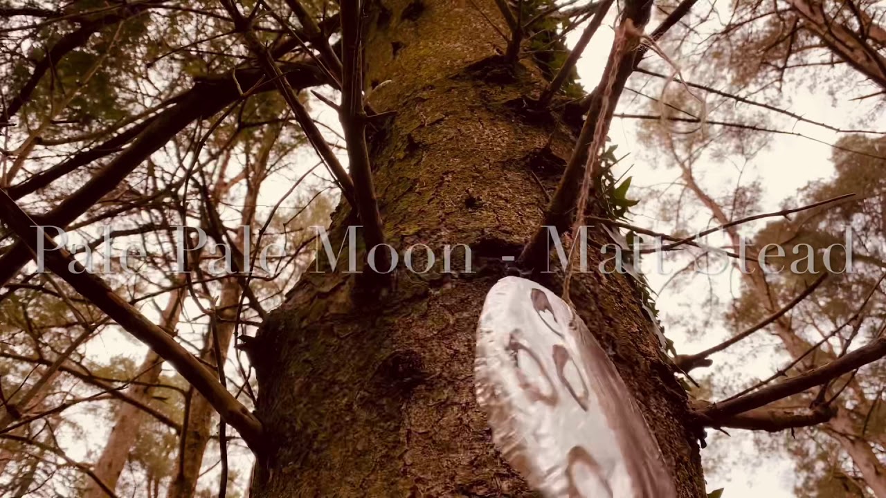 Pale Pale Moon - Matt Stead - YouTube